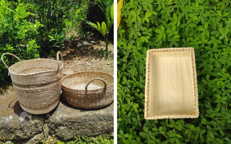 Explore how Vietnamese people turn areca leaf sheaths into eco-friendly ...