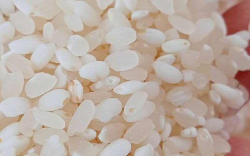 What is Glutinous Rice? - Genuine Vietnamese Products