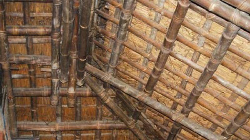Vietnamese Bamboo: All You Need to Know - Genuine Vietnamese Products