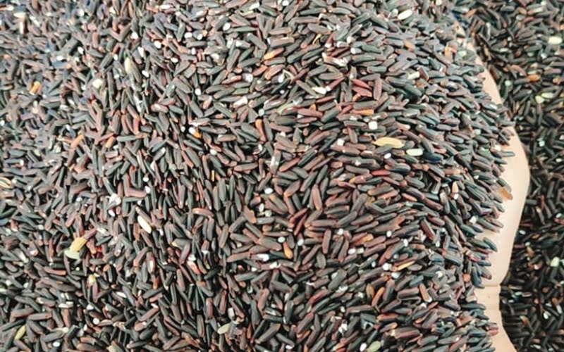 Explore the world of Vietnamese organic rice - Genuine Vietnamese Products