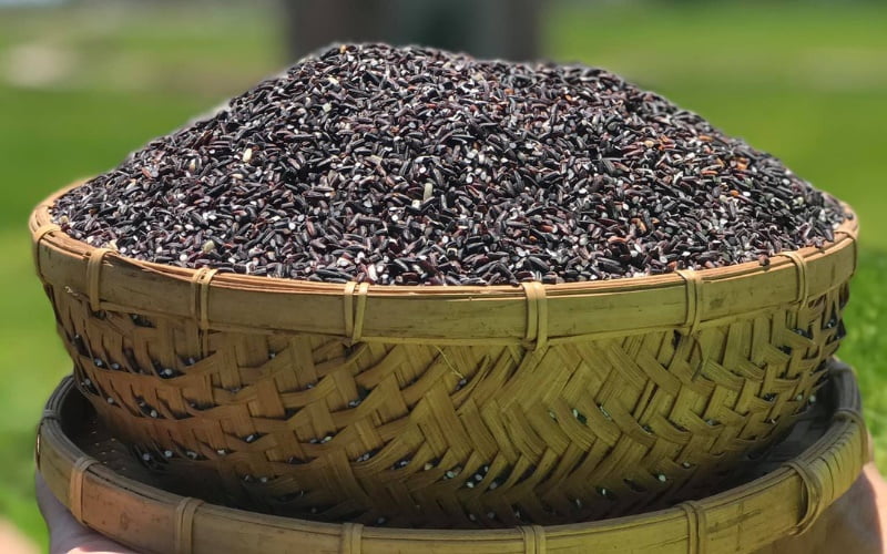 Explore the world of Vietnamese organic rice - Genuine Vietnamese Products