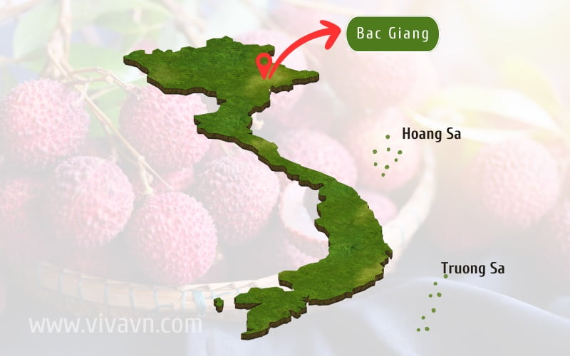 Vietnamese Fruits: The Best Varieties to Try in Vietnam - Genuine ...
