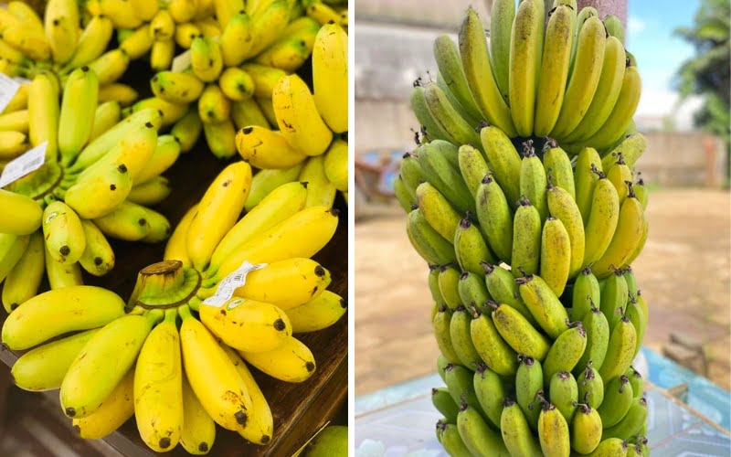 Vietnamese Fruits: The Best Varieties to Try in Vietnam - Genuine ...