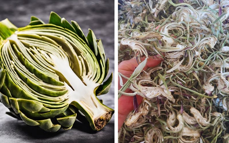 Vietnamese Artichoke Tea: Distinguishing the Two Types - Genuine ...