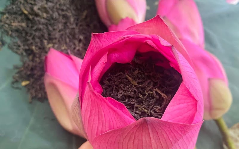 Vietnamese Tea: A Comprehensive Guide to its History, Varieties, and ...