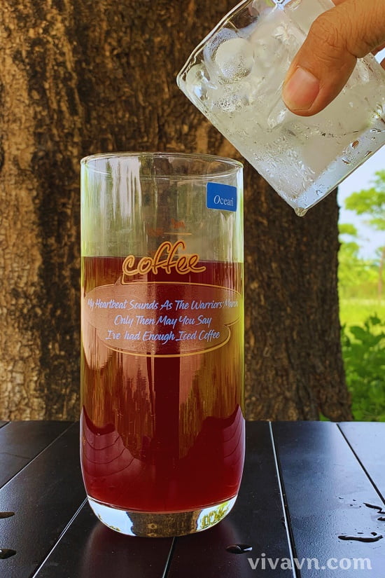 Vietnamese Hibiscus Flower Tea (Red Artichoke Flowers) - Genuine ...