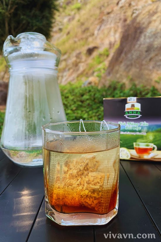 Vietnamese Soursop Tea Bags: Flavors and Health Benefits - Genuine ...