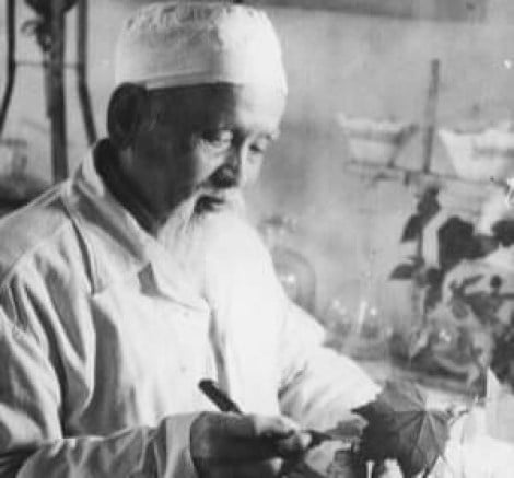Discover the Healing Powers of Vietnamese Golden Star Balm: A Natural ...