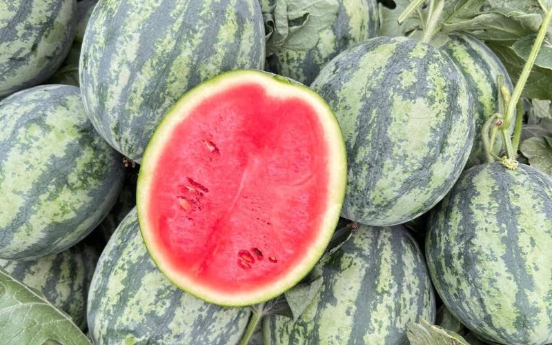 Vietnamese Fruits: The Best Varieties to Try in Vietnam - Genuine ...