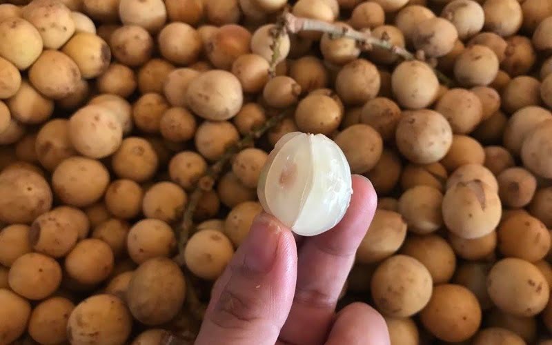 Vietnamese Fruits: The Best Varieties to Try in Vietnam - Genuine ...