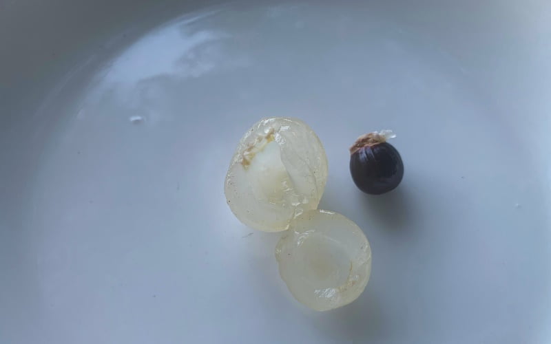 Vietnamese Longan: All You Need to Know About This Fruit - Genuine ...