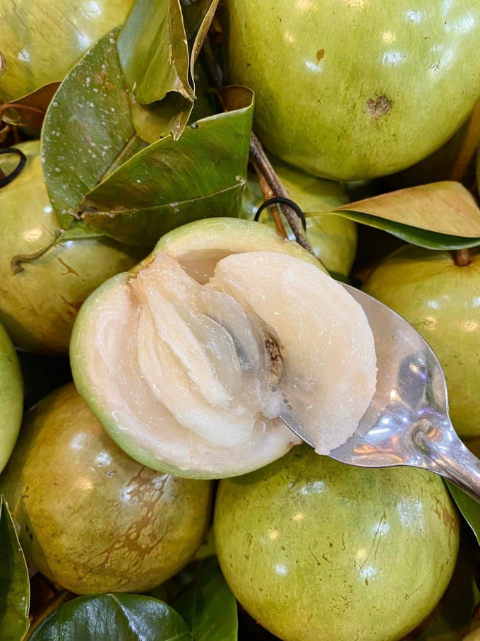 Vietnamese Star Apple (Vu Sua): All You Need to Know About This Fruit ...